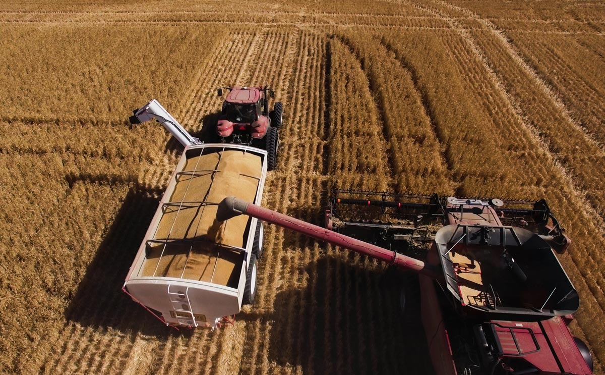 Freight movements to rise with up to 10 million tonnes of grain to be moved
