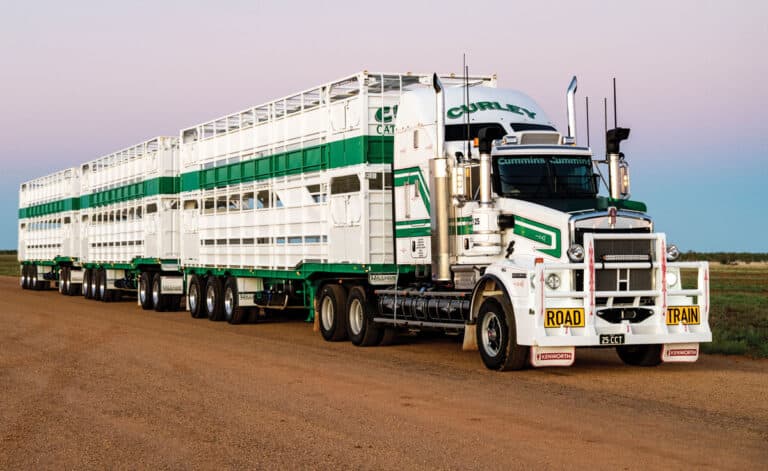 Cattle haulage business builds on over 50 years of success