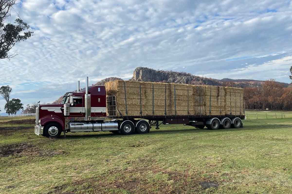 Aussie Hay Runners widen reach as calls for help keep pouring in