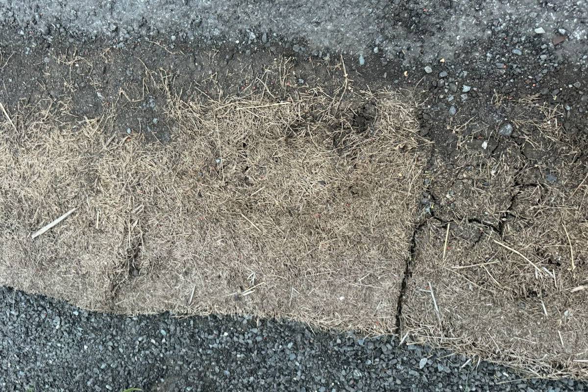 Grass verging on Warrego Highway proves a costly failure