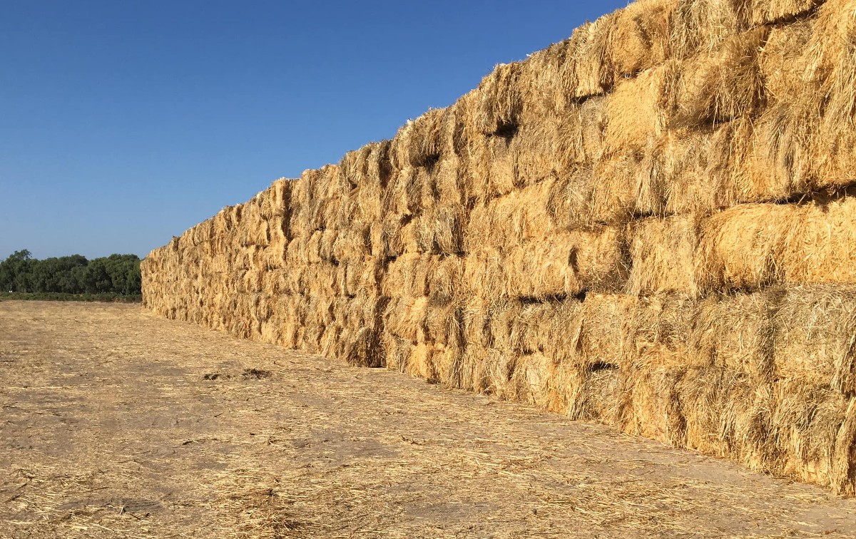 700 tonnes of feed bound for King Island farmers, thanks to hay run heroes