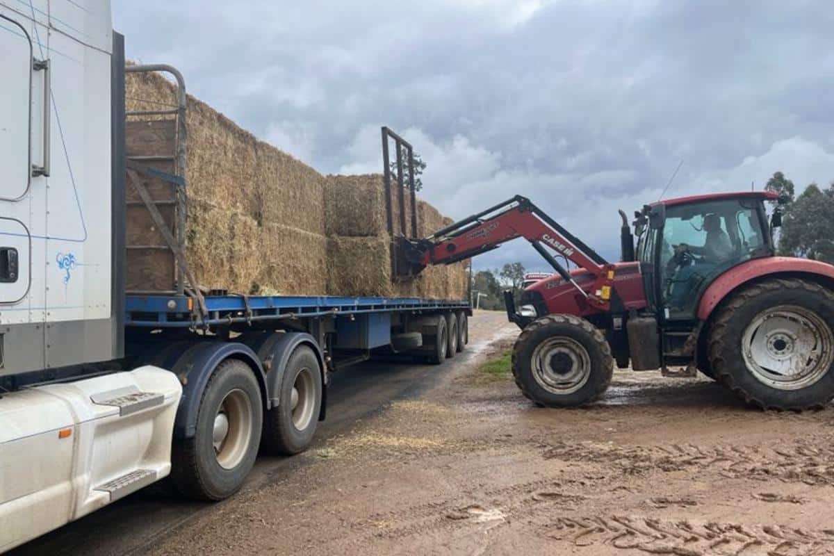 Hay runners answer call for help from SA farmers