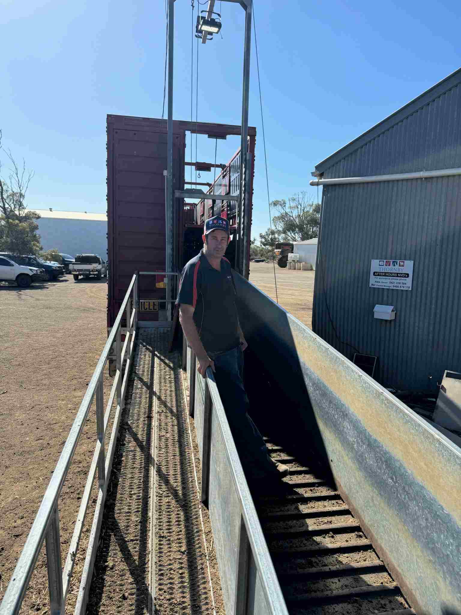 Dodgy livestock loading ramps putting truckies at risk