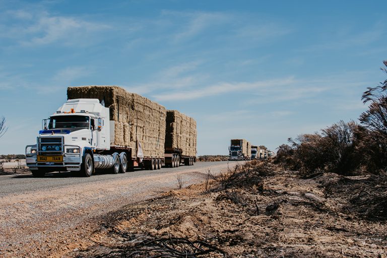 84 road trains to transport feed to drought-impacted farmers in mammoth ...