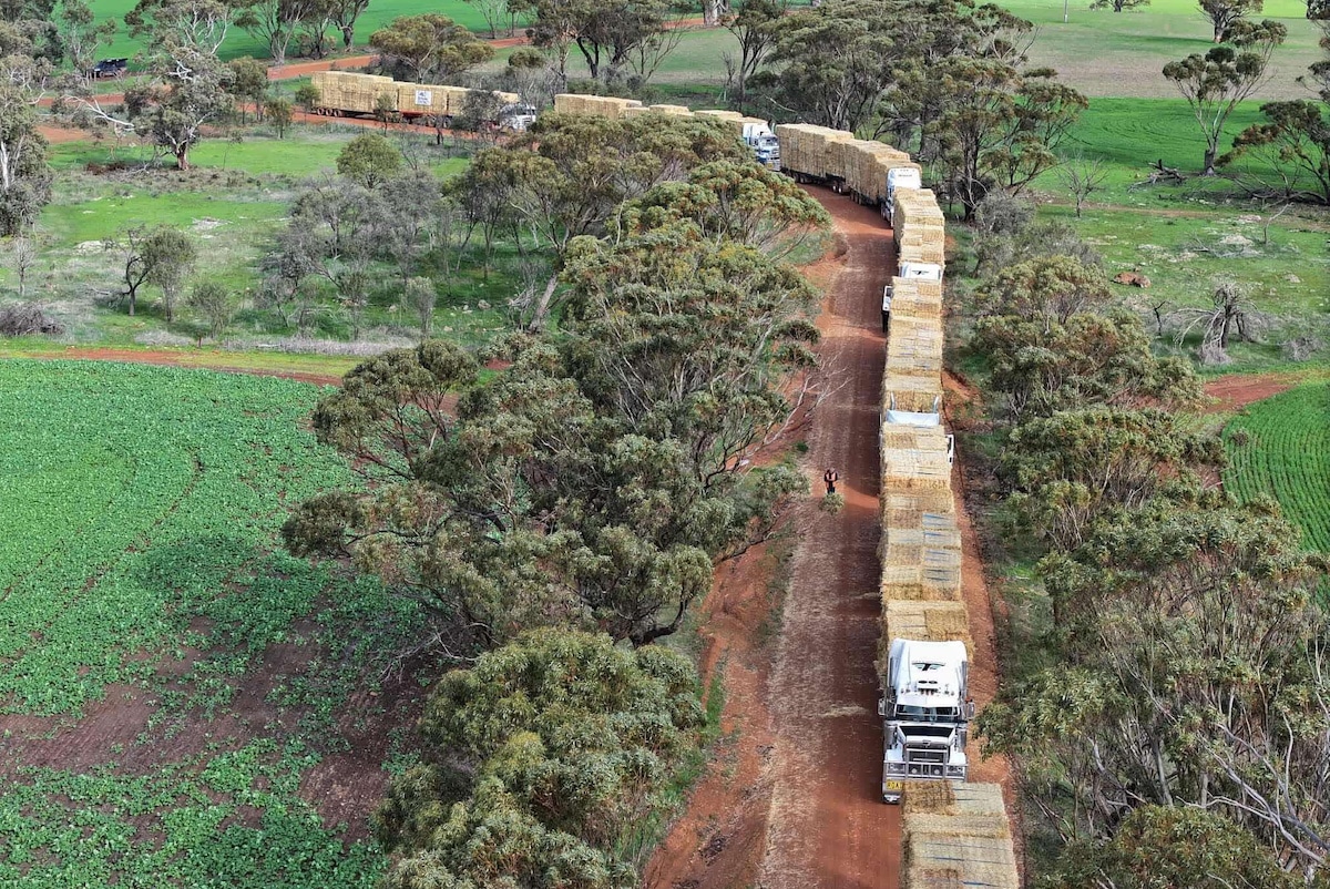 Hay run heroes deliver hope to South Australian farmers